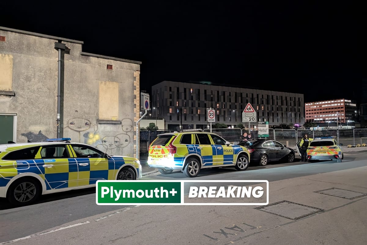 Man arrested by armed police after drug stop in Plymouth